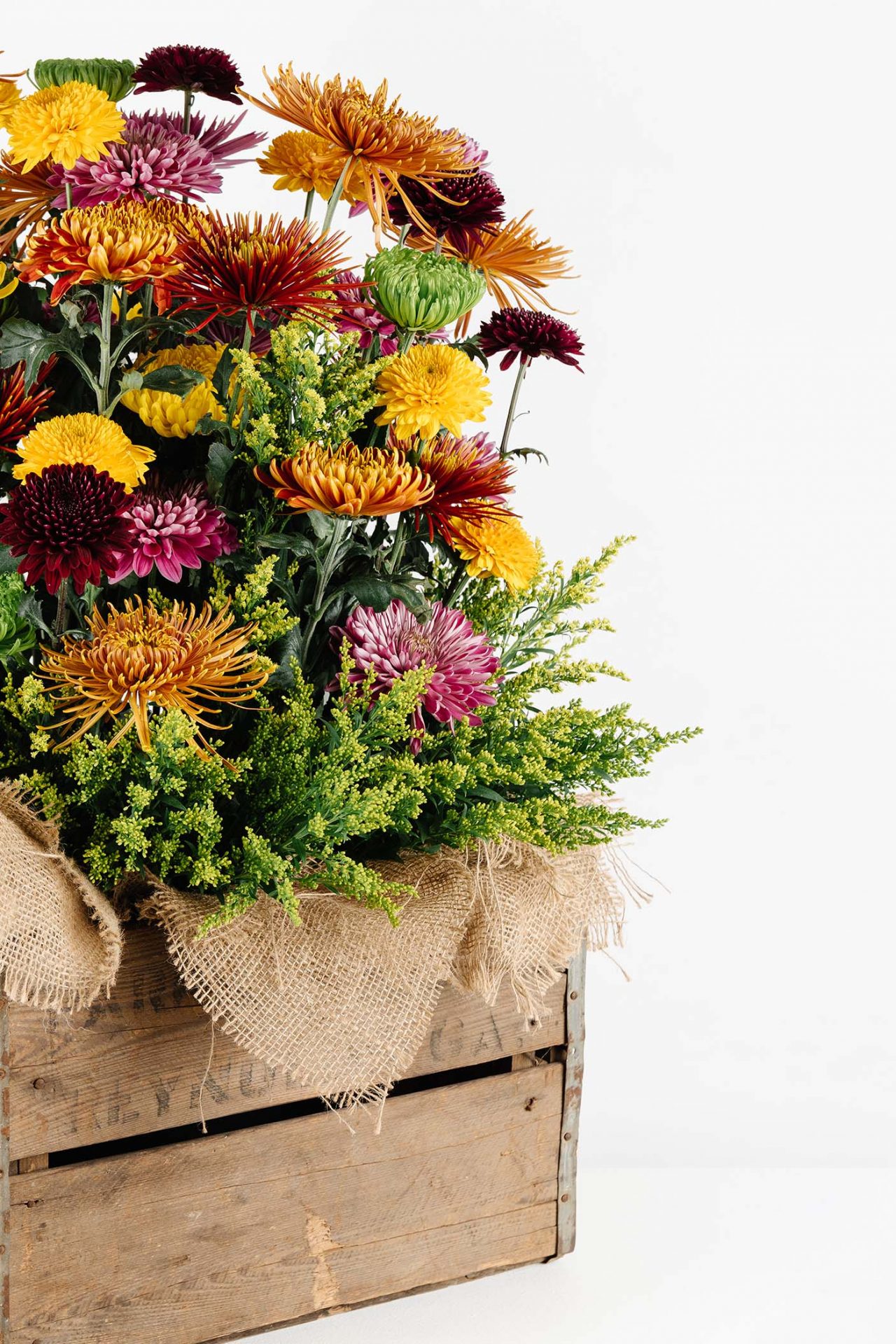 Chrysanthemum: Disbuds | Sunshine Bouquet