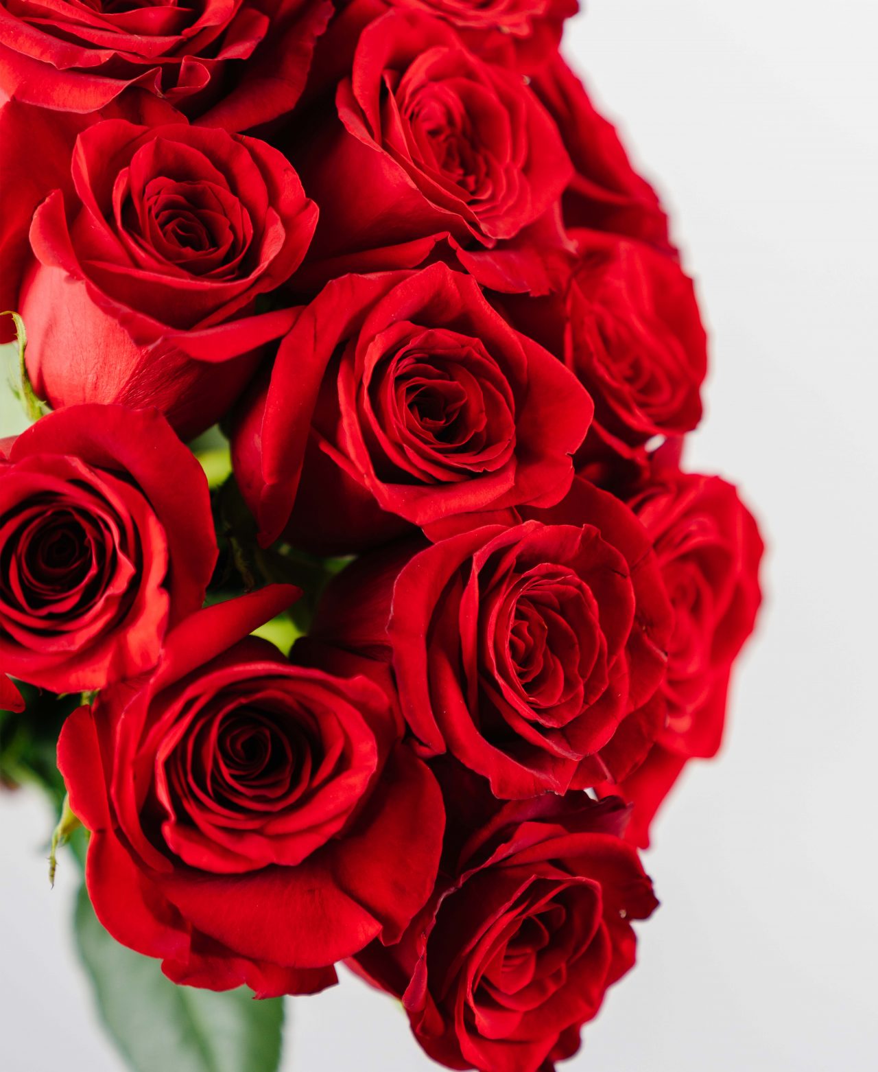 Rose Colors and their Meanings | Sunshine Bouquet